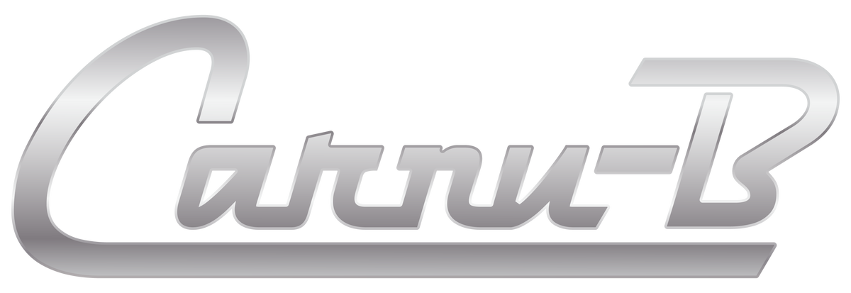 Professional Car Care Products – Carnu-B